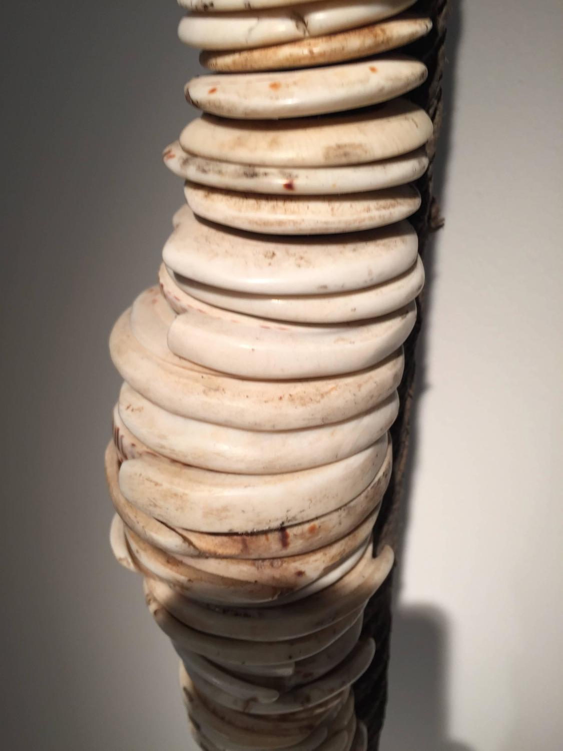 Money Stick, Shell, Papua New Guinea, 20th Century For Sale at 1stdibs