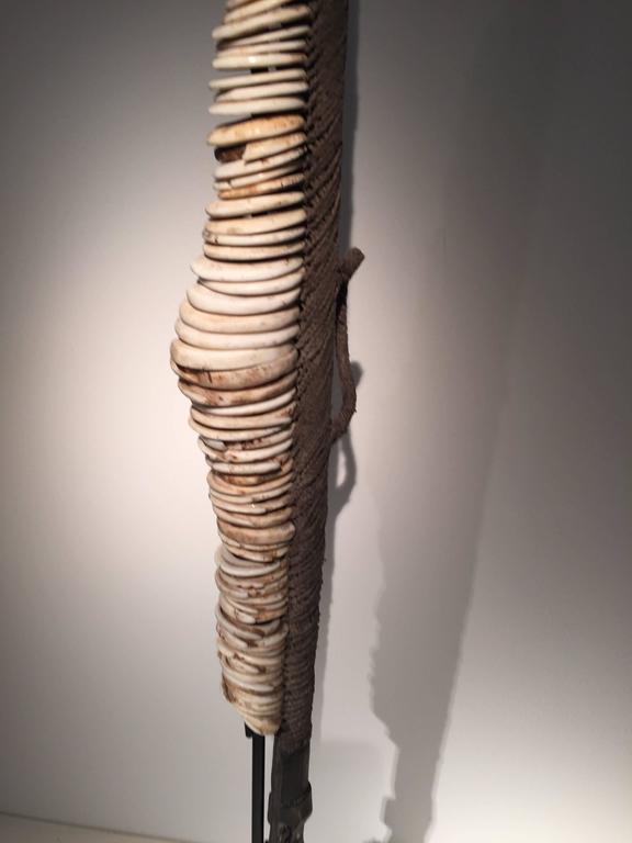 Money Stick, Shell, Papua New Guinea, 20th Century For Sale at 1stDibs