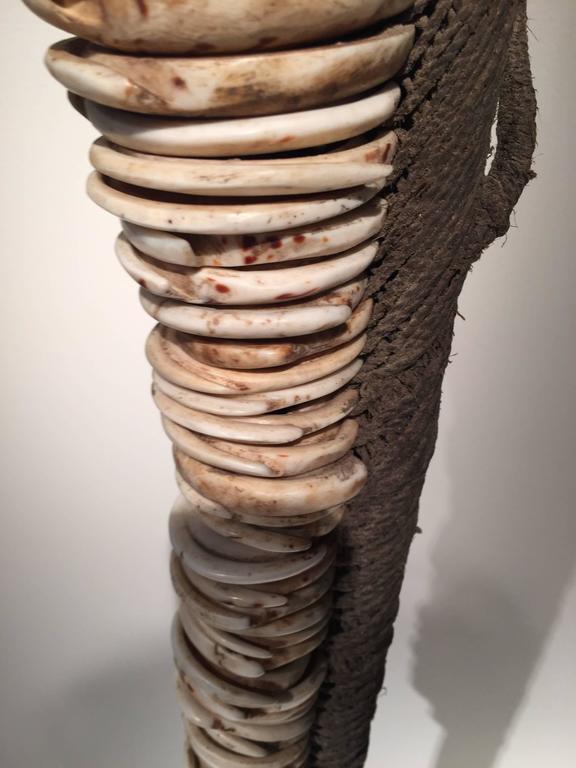 Money Stick, Shell, Papua New Guinea, 20th Century For Sale at 1stDibs