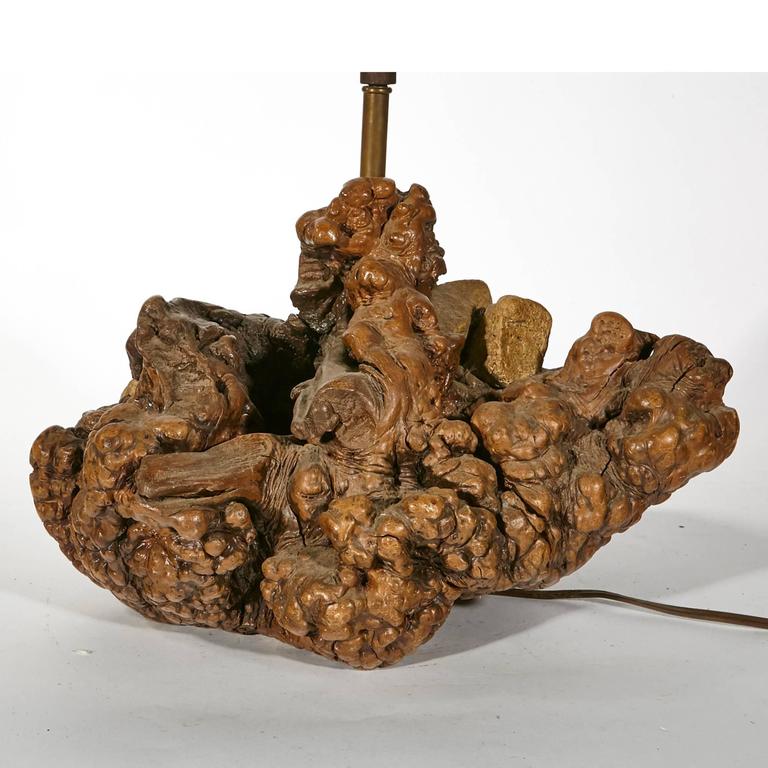 Vintage Natural Root Table Lamp For Sale at 1stDibs | root lamp