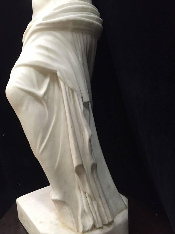 Italian Neoclassical Carved White Marble Statue of Venus, 19th Century ...