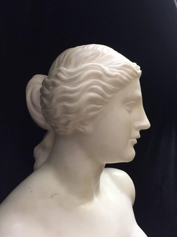 Italian Neoclassical Carved White Marble Statue of Venus, 19th Century ...