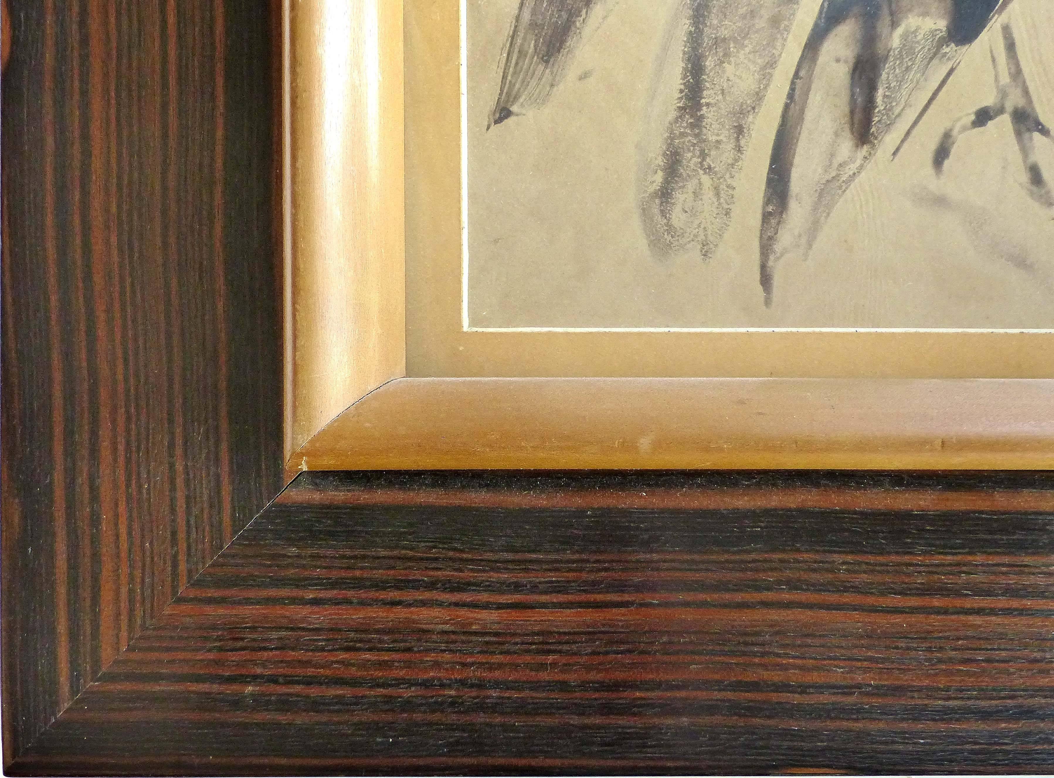 Mid-20th Century French Eagle Watercolor by Raymond Bigot at 1stDibs