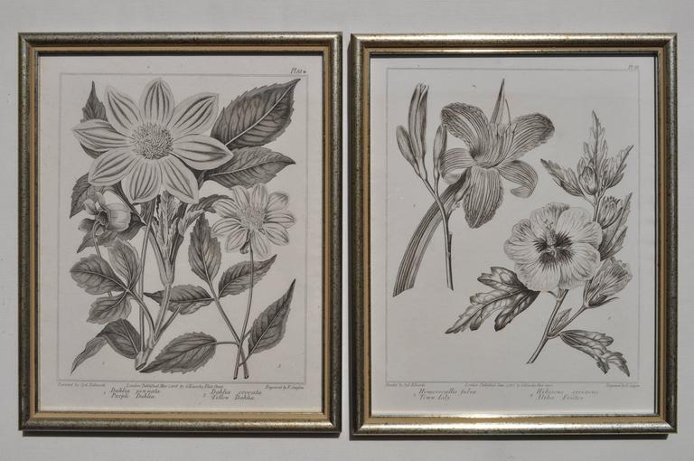 Rare 19th Century Antique Botanical Prints of Beautiful and Exotic ...