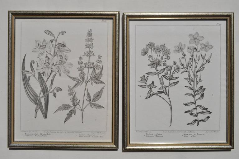 Rare 19th Century Antique Botanical Prints of Beautiful and Exotic ...