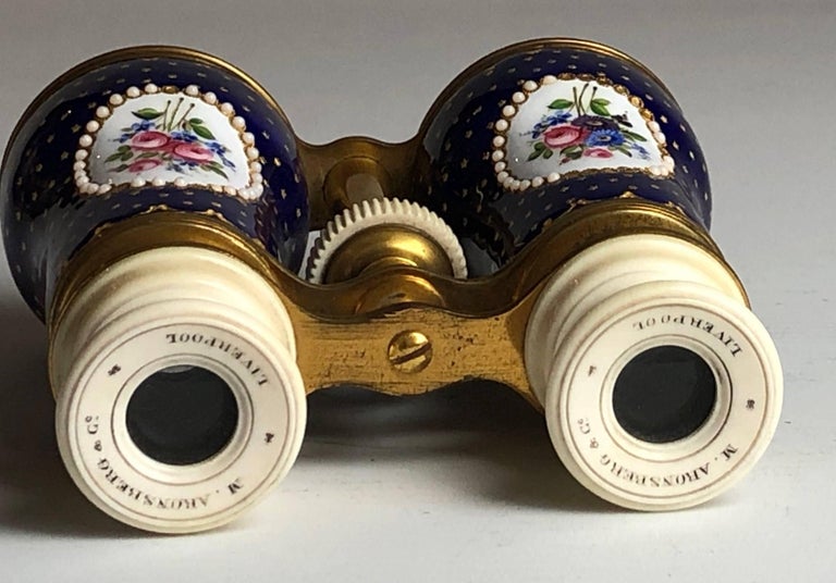 Pair of 19th Century Hand Enameled Ladies Opera Glasses, circa 1890 For ...
