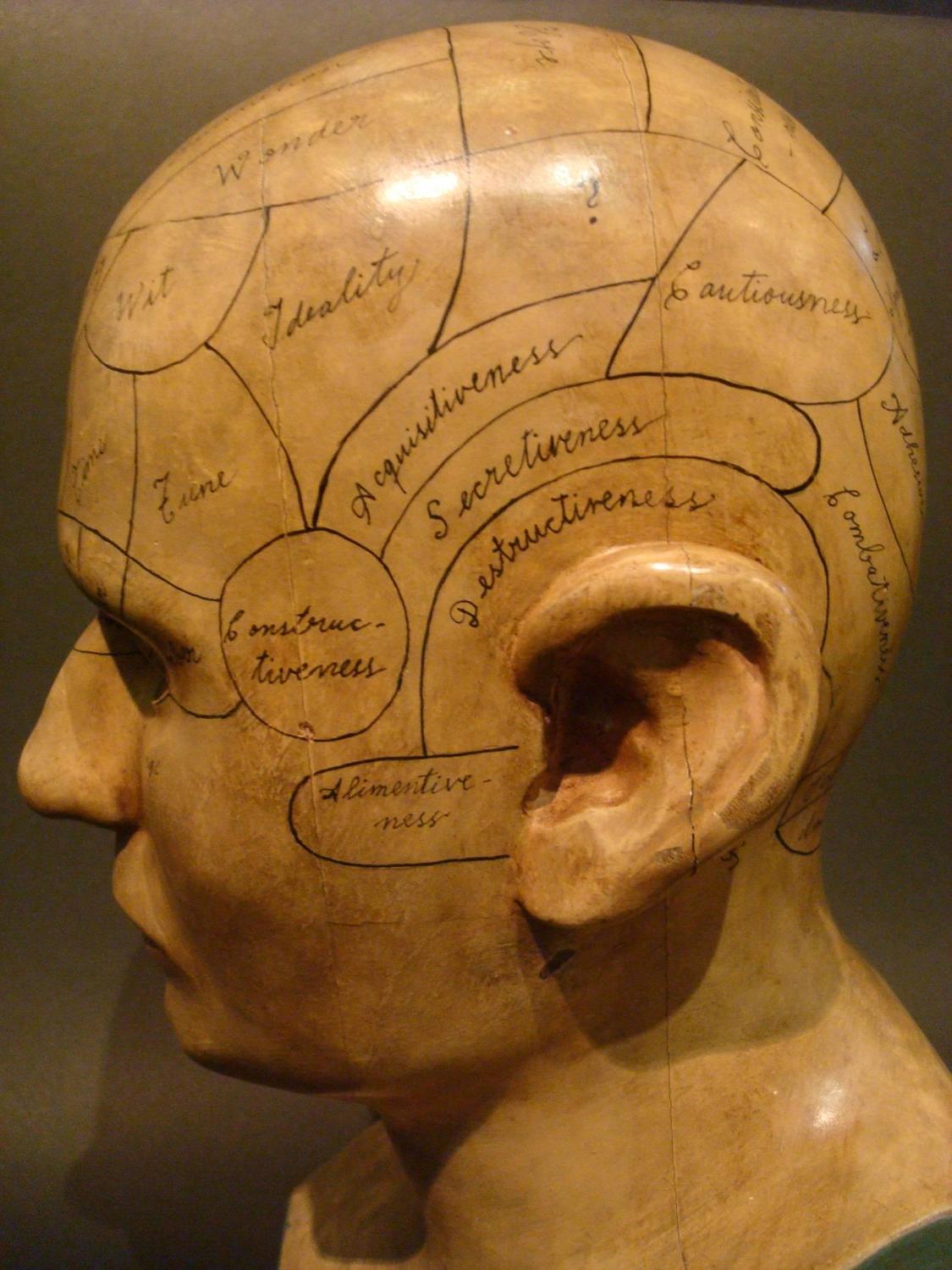 Carved and Painted Wooden Phrenology Head Model Folk Art Americana at ...
