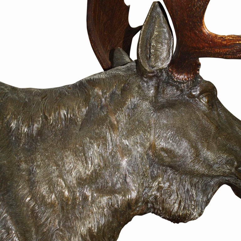Bronze Moose with Antlers on Walnut Wall-Mount Plaque at 1stDibs ...