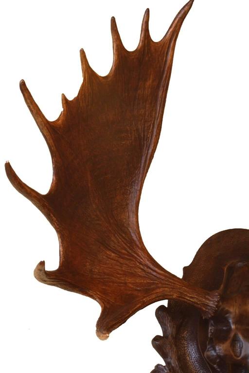 European Style Carved Wooden Moose Skull Mount with Shed Antlers at ...