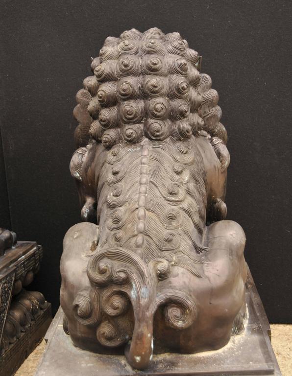 Pair of Extra Large Bronze Chinese Foo Dogs Keiloon Fu Temple Statue ...