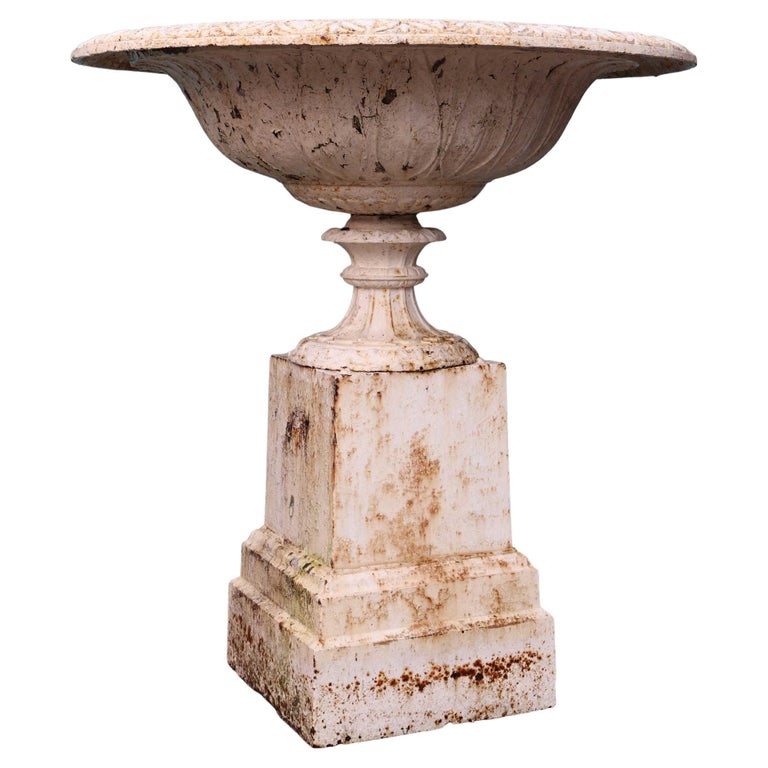 Large Antique Tazza at 1stDibs