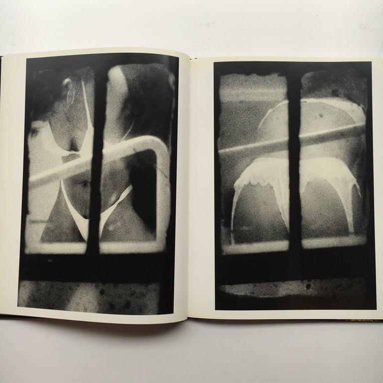 "Merry Alpern – Dirty Windows" Book at 1stDibs