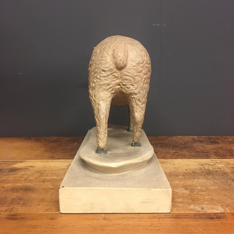 Vintage Plaster Butcher Presentation Sheep Model at 1stDibs
