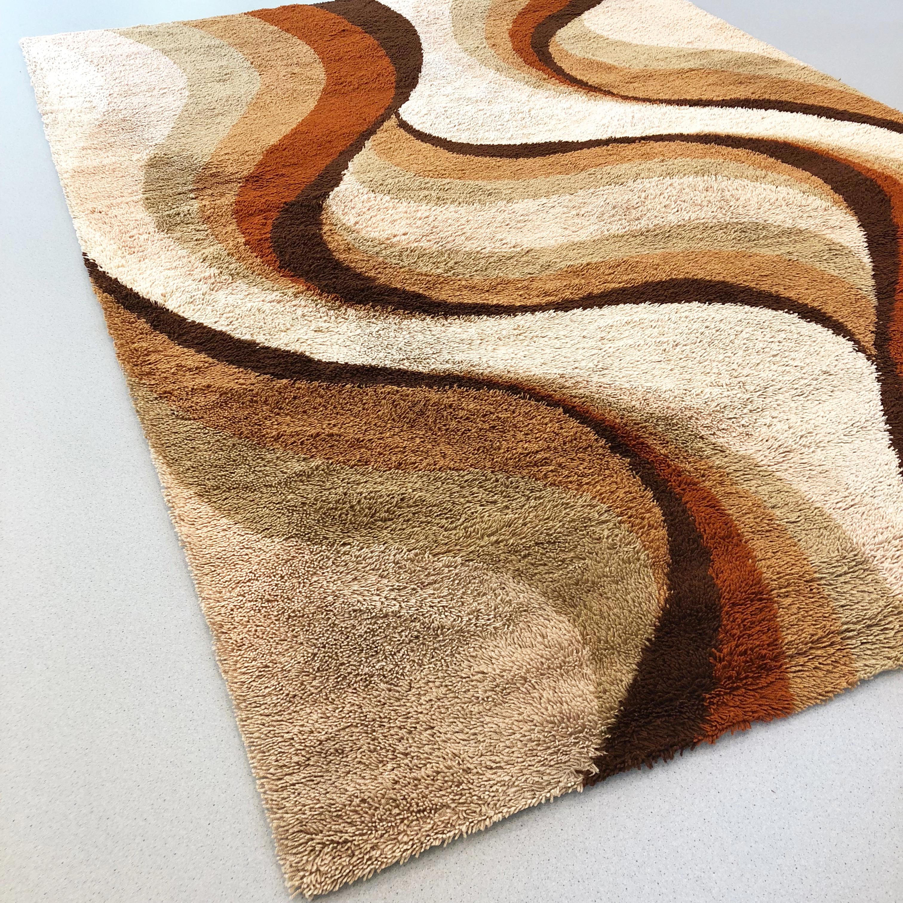 Extra Large Psychedilic 1970s High Pile Rug by Prinstapijt Desso ...