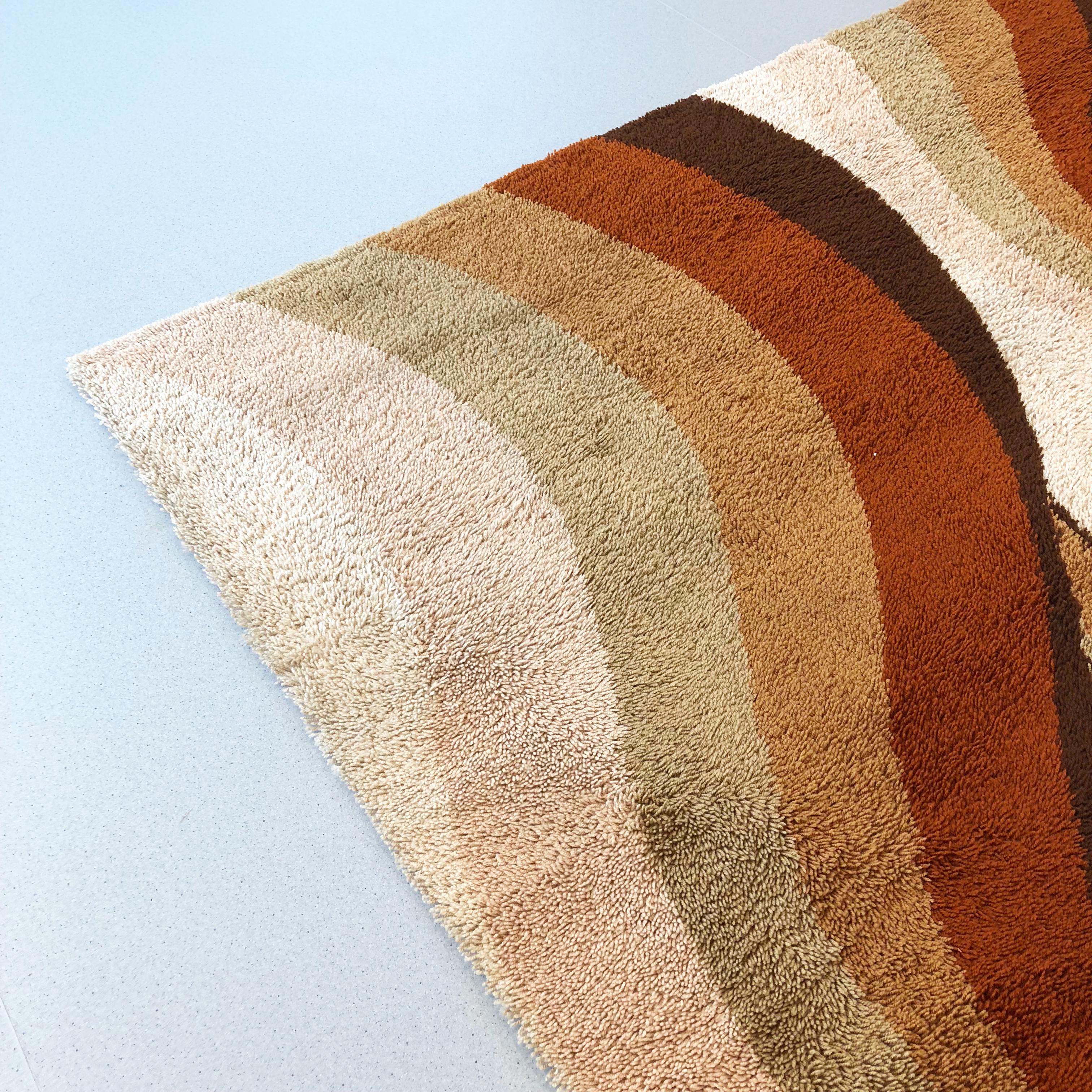 Extra Large Psychedilic 1970s High Pile Rug by Prinstapijt Desso ...