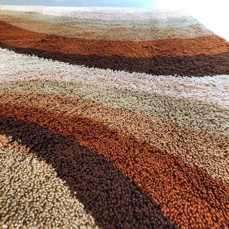 Extra Large Psychedilic 1970s High Pile Rug by Prinstapijt Desso ...