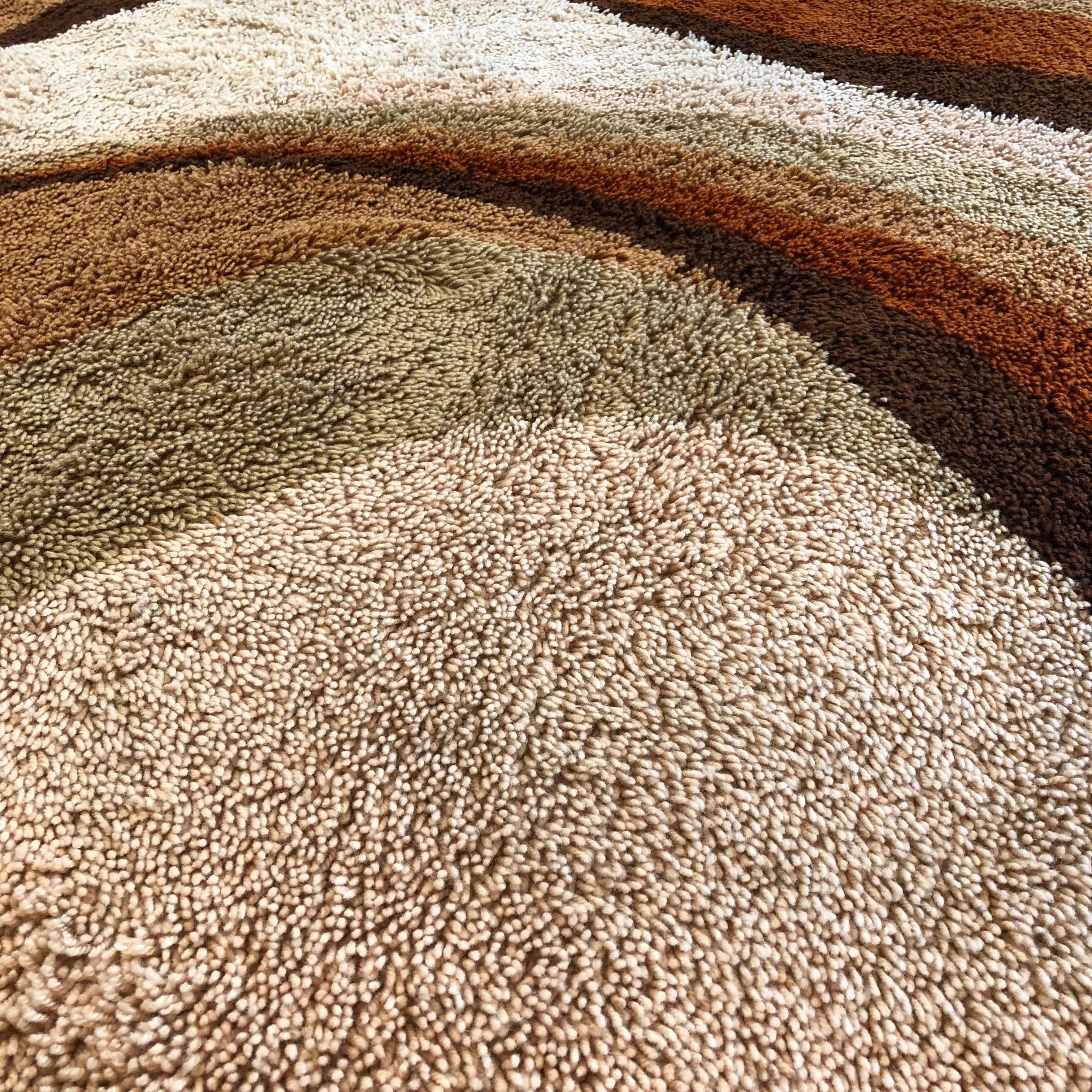 Extra Large Psychedilic 1970s High Pile Rug by Prinstapijt Desso ...