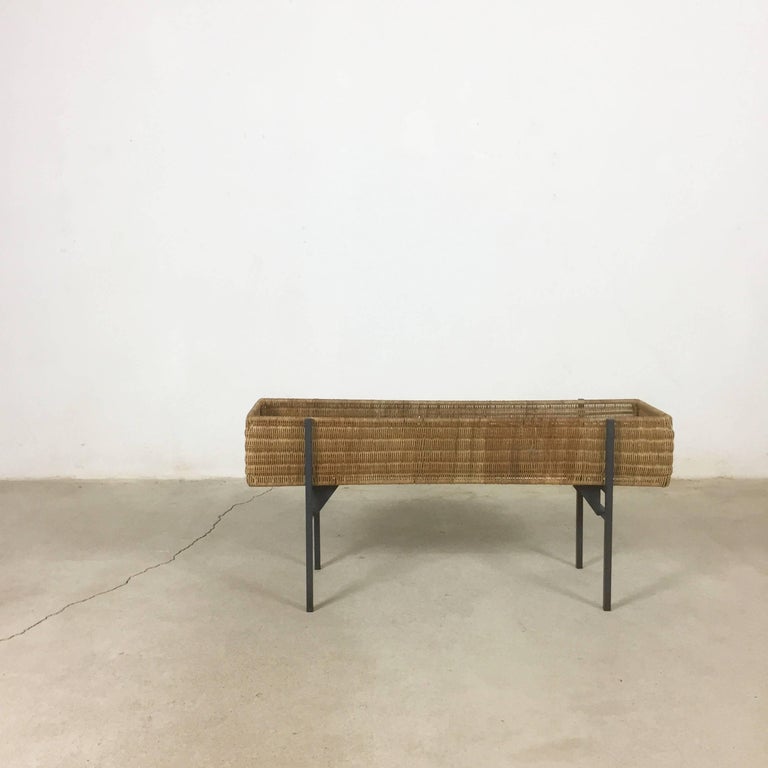 Minimalistic Metal and Rattan Planter Trough Plant Stand, Italy, 1960s ...