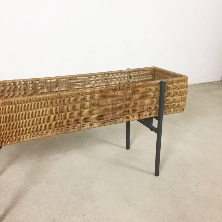 Minimalistic Metal and Rattan Planter Trough Plant Stand, Italy, 1960s ...