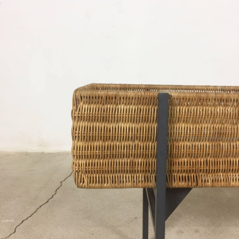 Minimalistic Metal and Rattan Planter Trough Plant Stand, Italy, 1960s ...