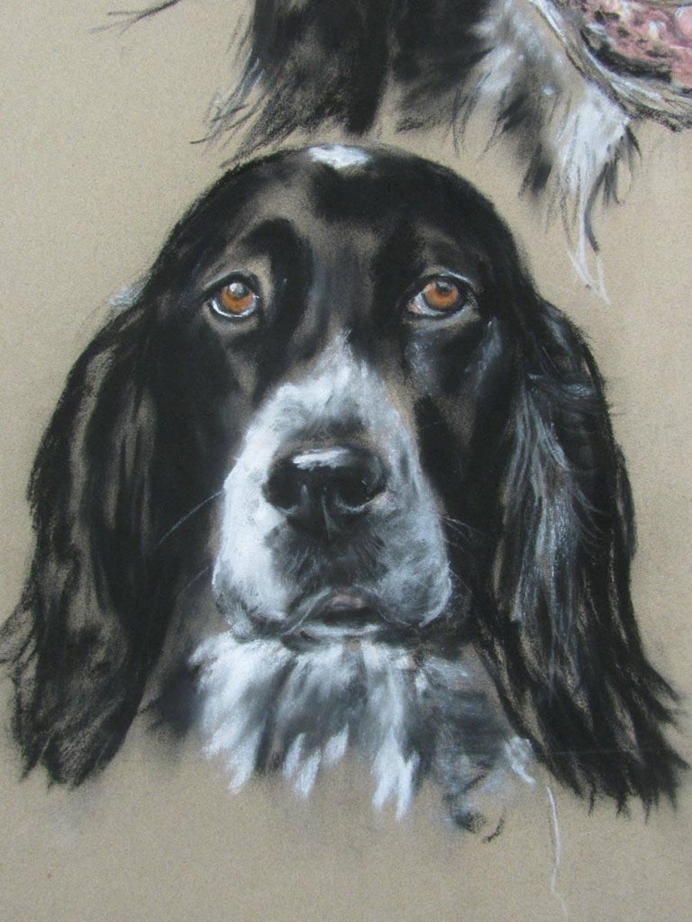 Mid-20th Century English Setter Dogs Portrait, Framed French Drawing on ...