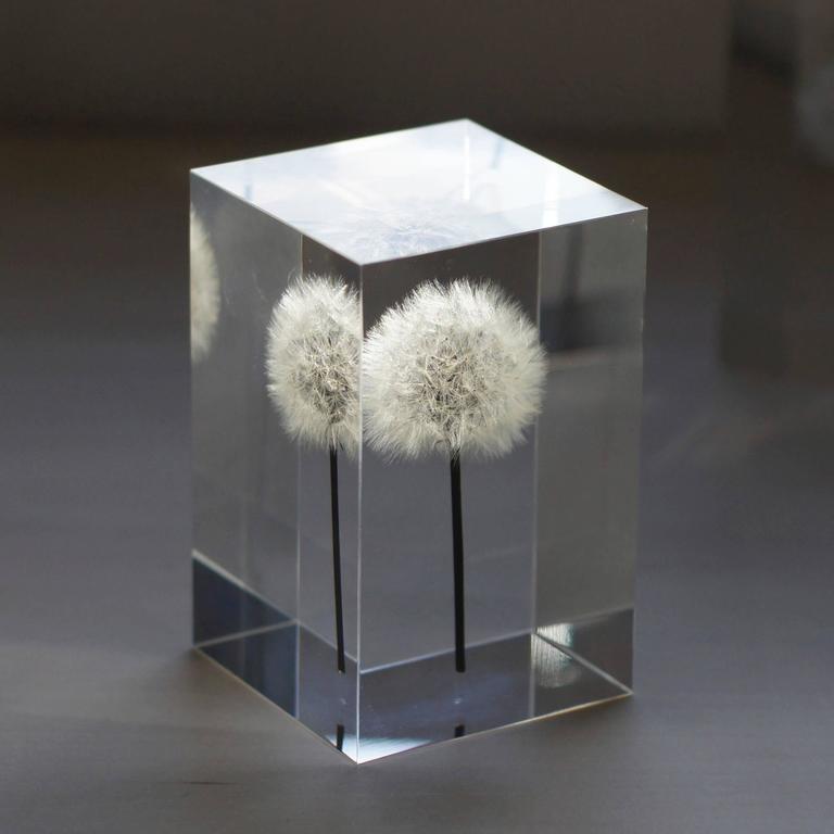 Tampopo Dandelion Acrylic Object Takao Inoue Kuramata at 1stDibs