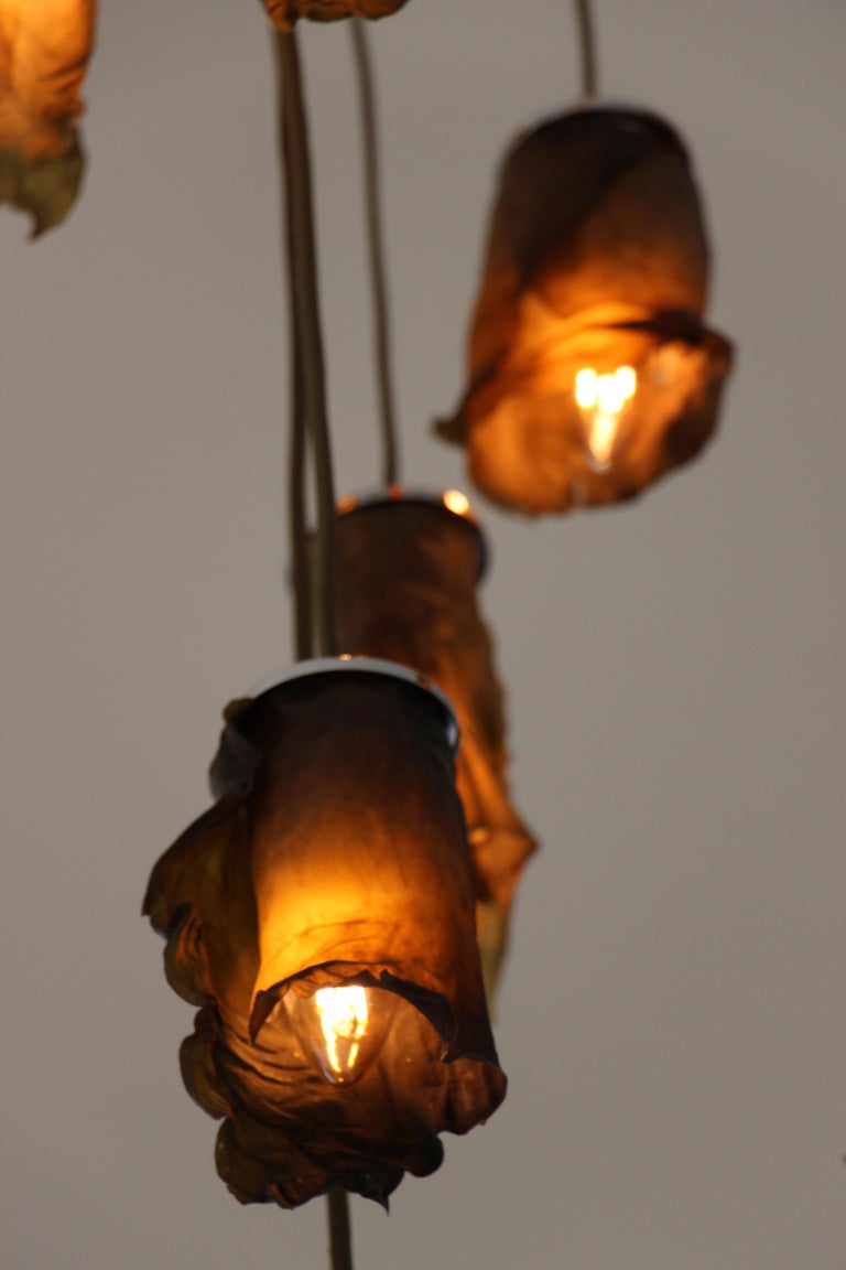 Algae Chandelier, Contemporary Customizable Lighting in Natural ...