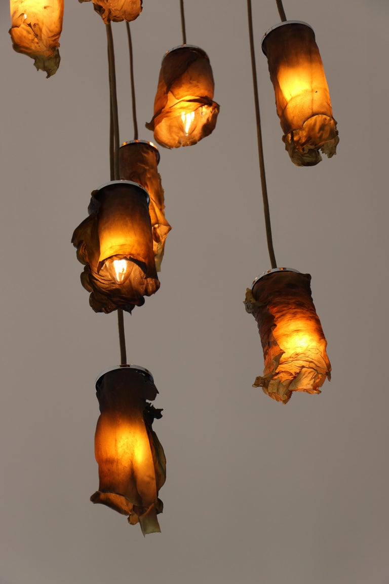 Algae Chandelier, Contemporary Customizable Lighting in Natural ...