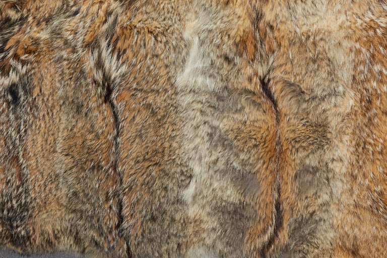Coyote Fur Blanket or Rug at 1stDibs
