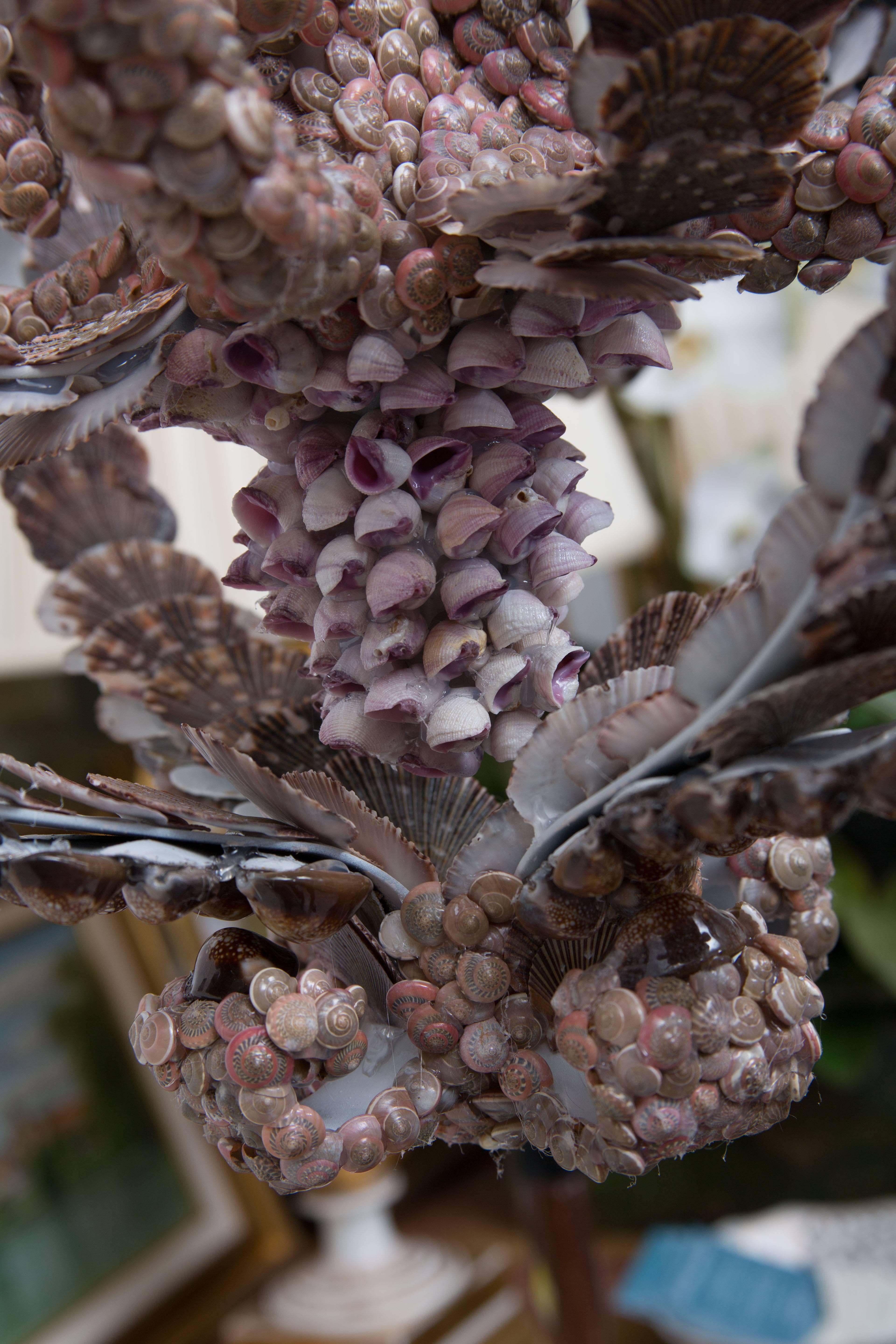 Shell Encrusted Chandelier at 1stDibs