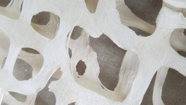 Organic Modern Art in Paper and Muslin in a Shadowbox Frame at 1stDibs