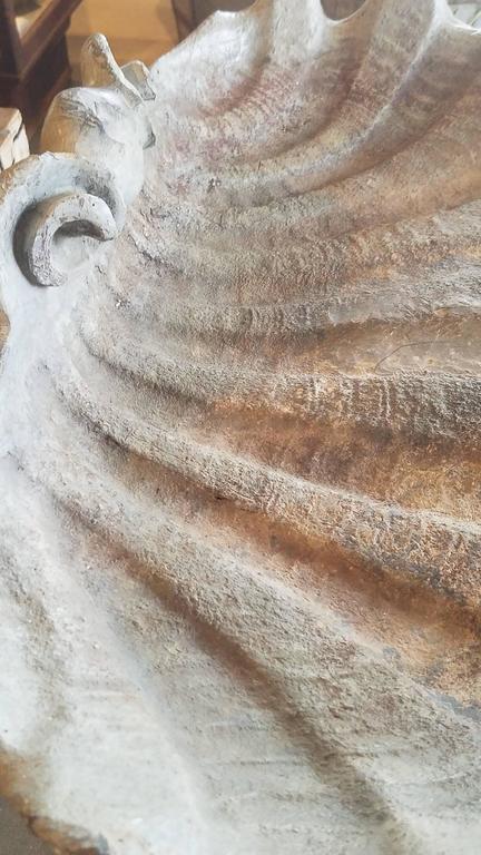 Early 20th Century Lead Scallop Shell Garden Fountain Fragment at 1stDibs
