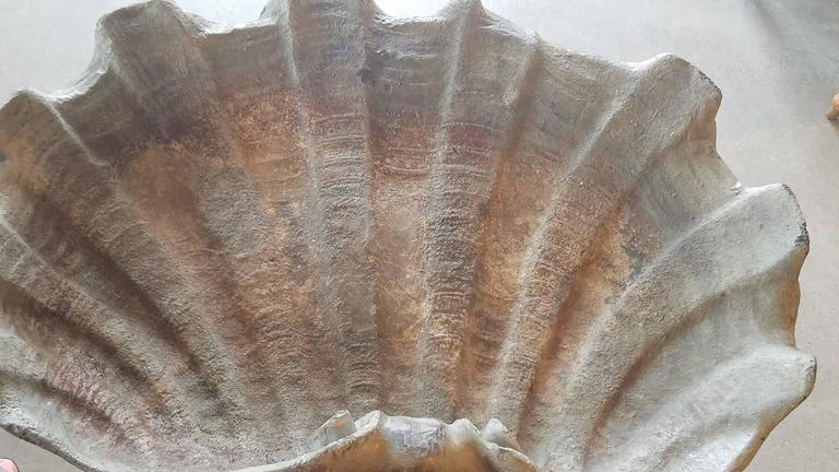 Early 20th Century Lead Scallop Shell Garden Fountain Fragment at 1stDibs