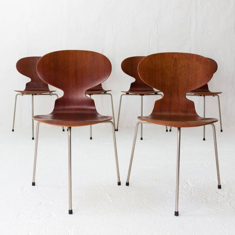 Teak Ant Chairs 3100 Arne Jacobsen for Fritz Hansen, Early 1960s at 1stDibs