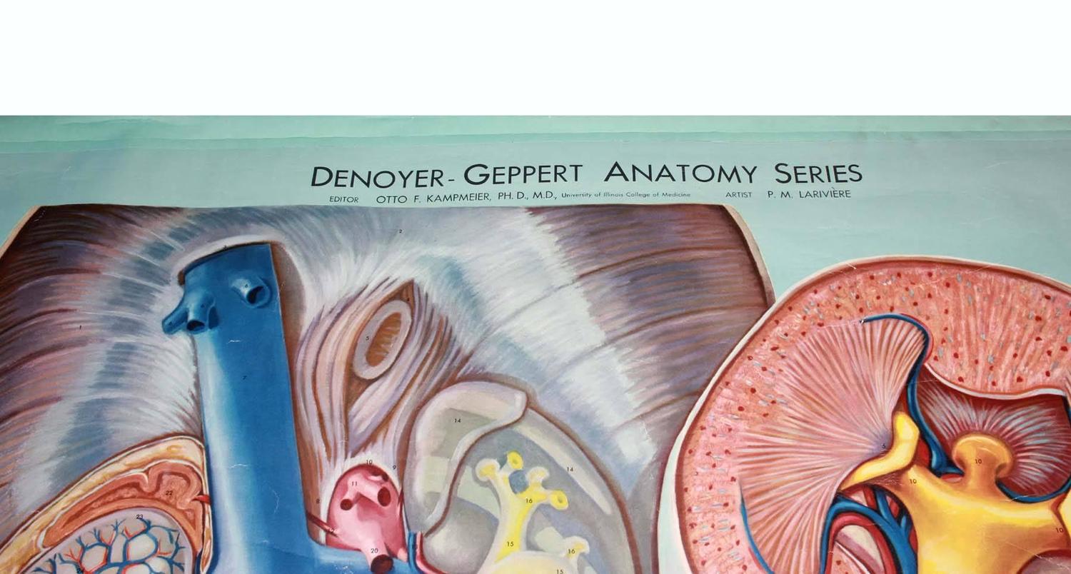 Vintage Science Poster For Sale at 1stdibs