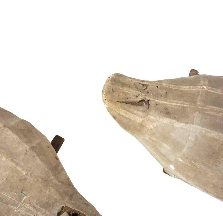 Very Rare Pair of Swan Decoys, Denmark, circa 1900 For Sale at 1stDibs