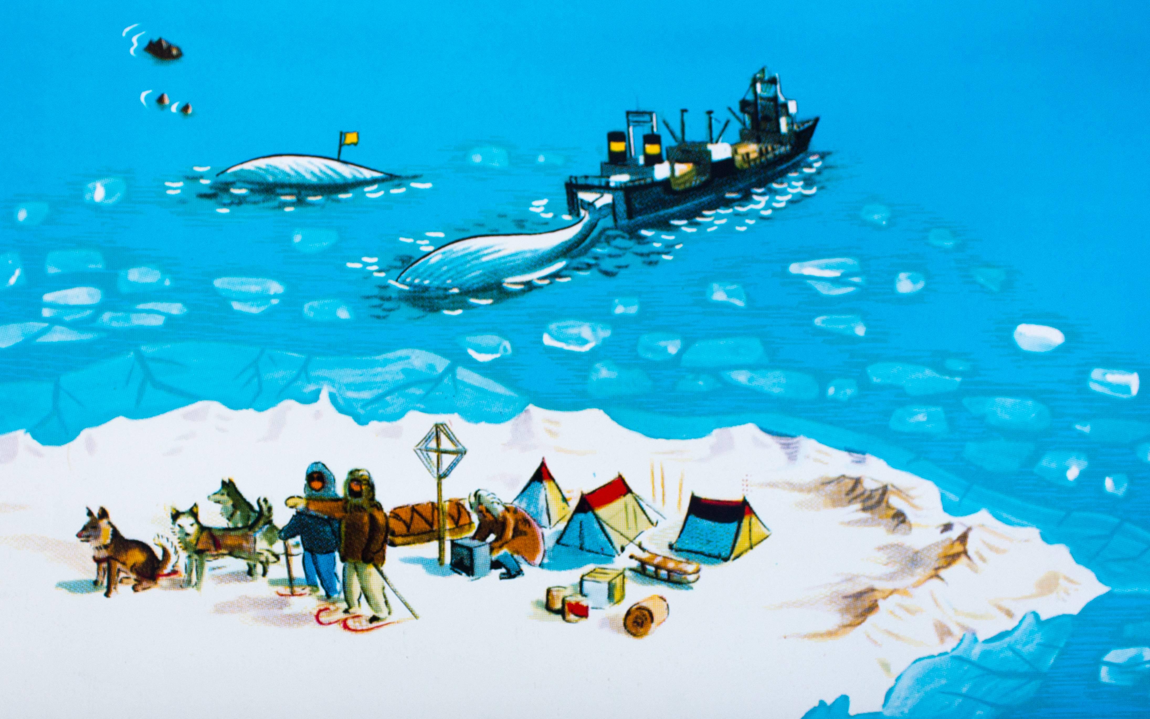 Wall Chart, Animals of the World, 1964, Published by Westermann ...