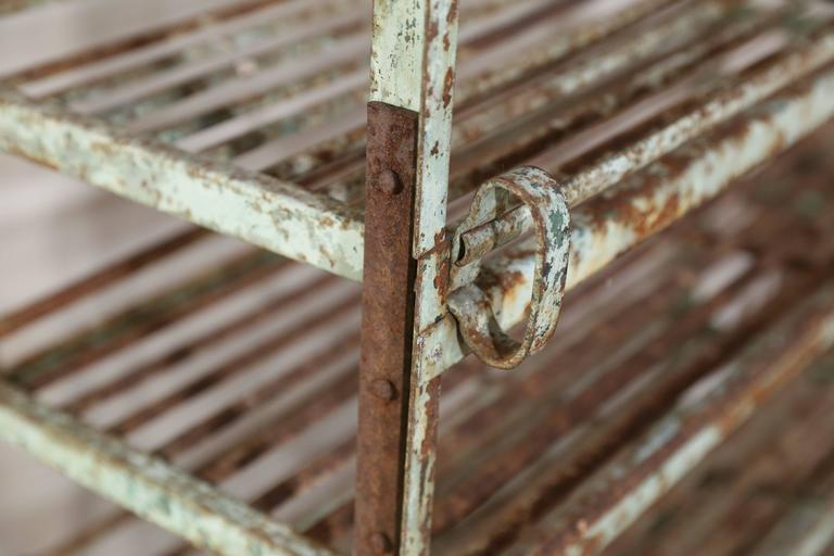 Iron Fruit Drying Rack at 1stDibs