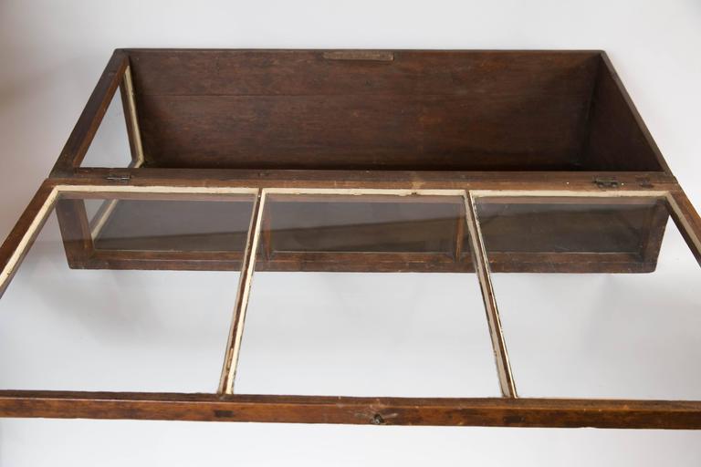 Antique Tabletop Store Display Cabinet For Sale at 1stDibs