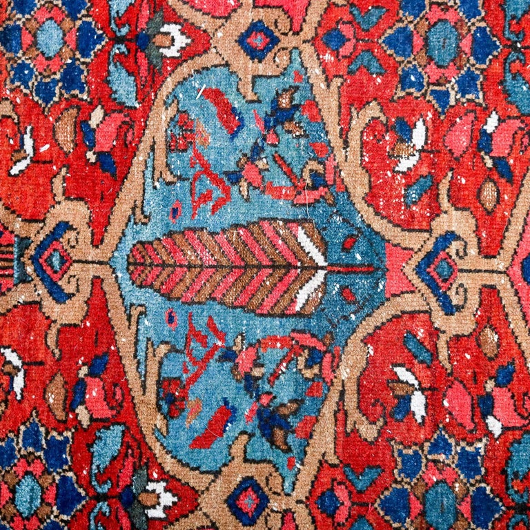 Antique Bakhtiar Persian Rug, Garden and Tree of Life Design, 19th ...