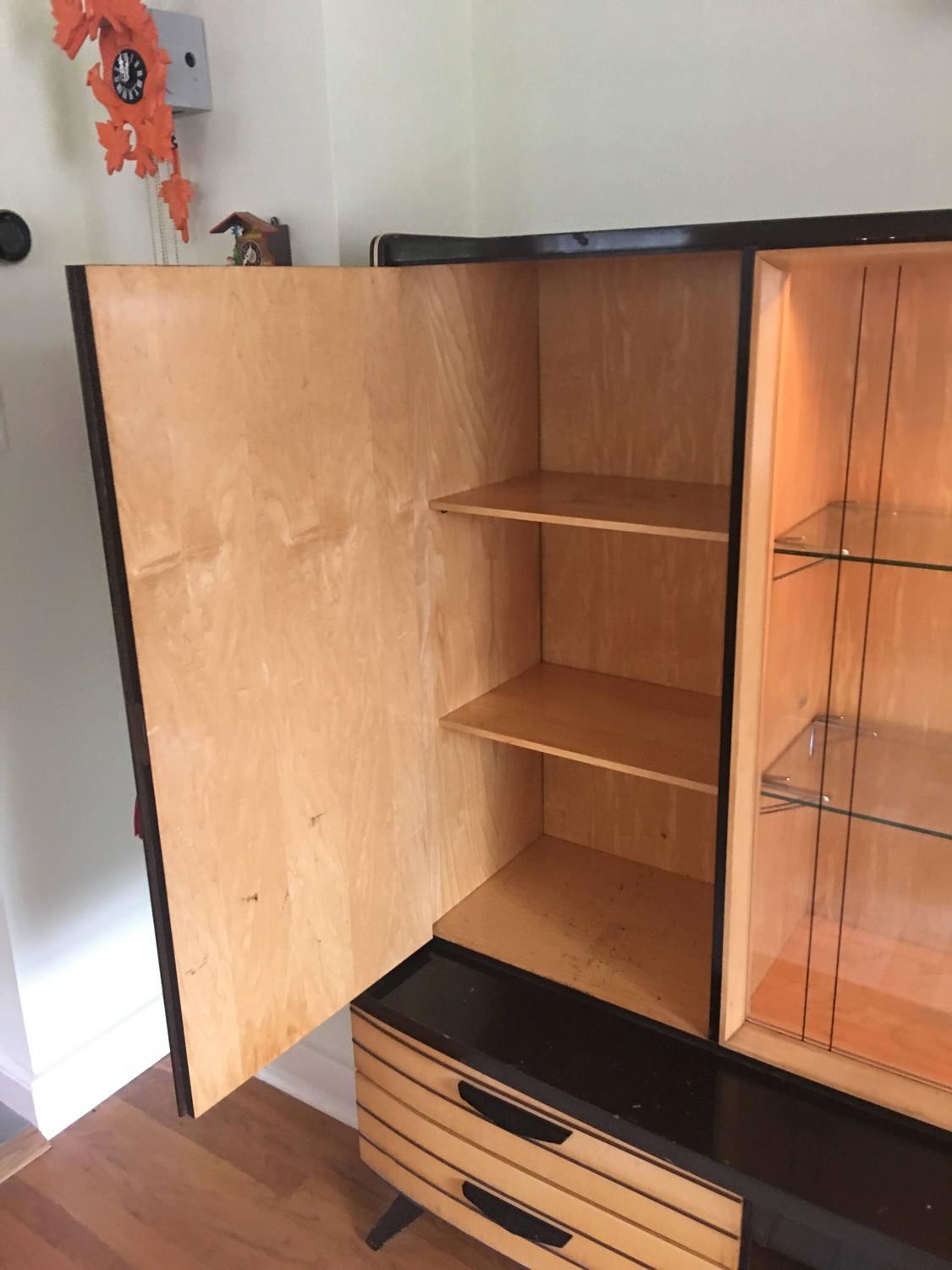 1950's Mid-Century Modern German Shrunk Cabinet For Sale at 1stdibs