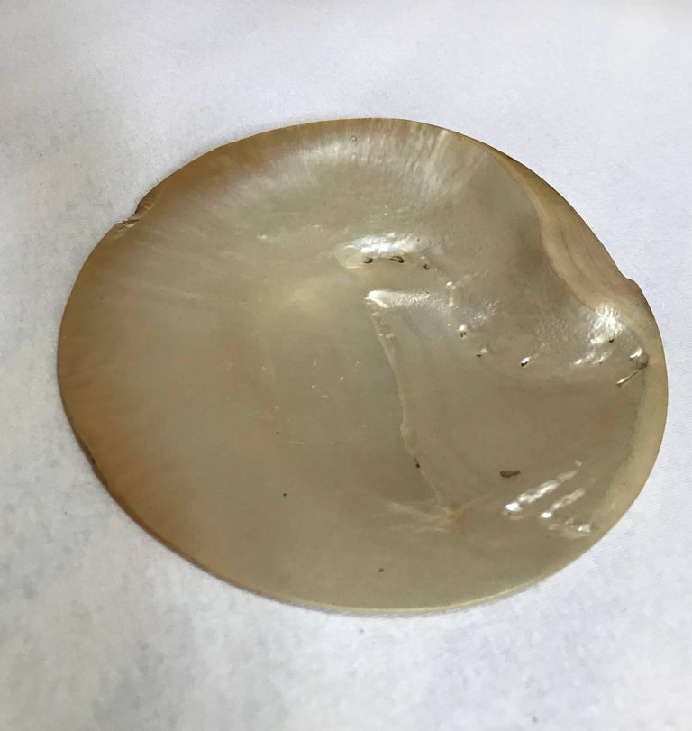 Mother-of-Pearl Shell Tray / Caviar Plate at 1stDibs