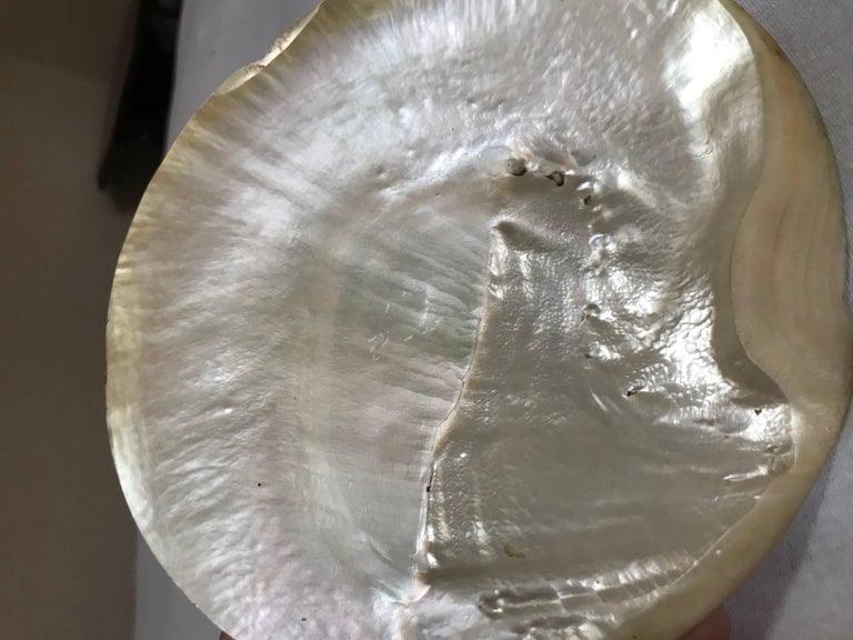 Mother-of-Pearl Shell Tray / Caviar Plate at 1stDibs