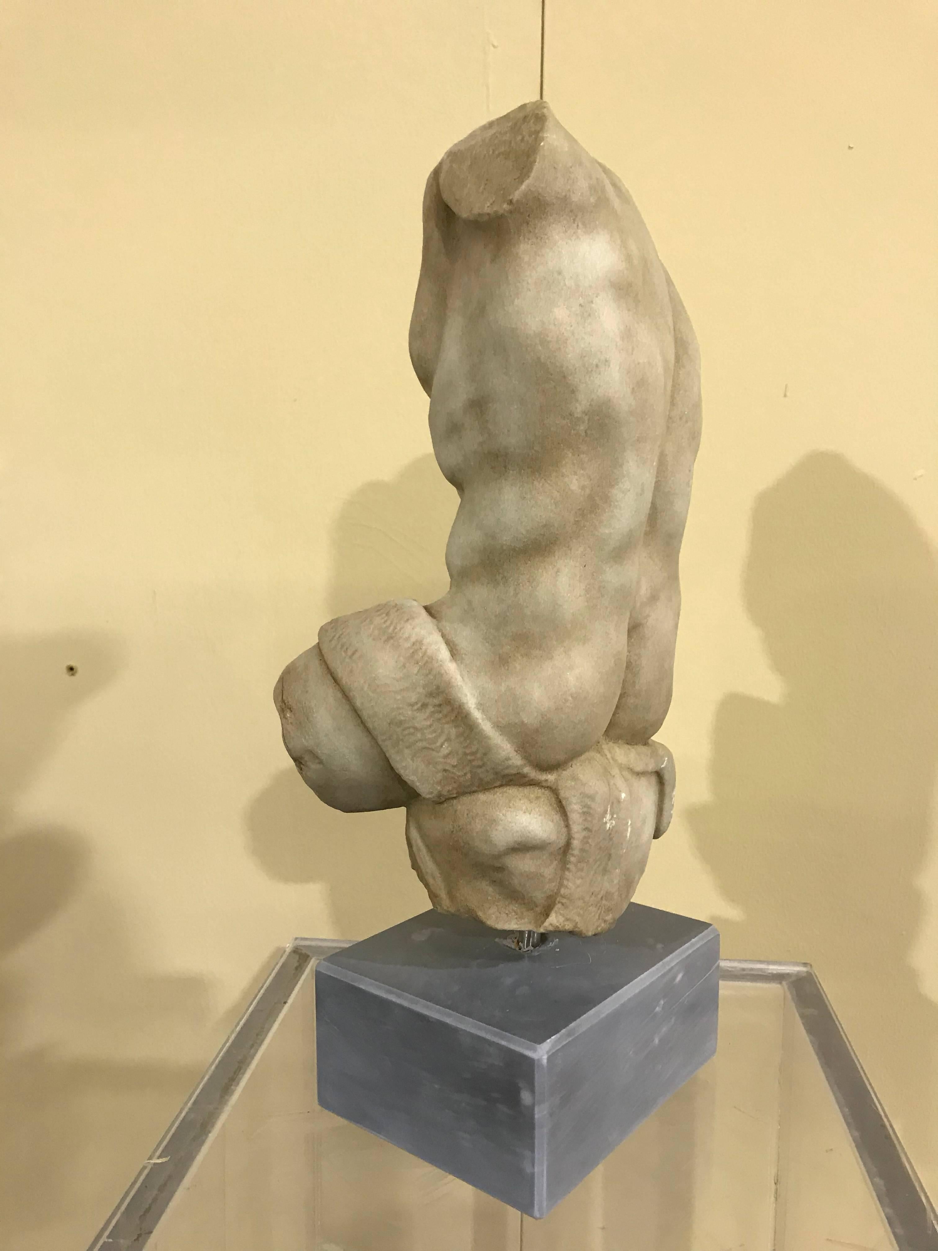 19th Century Torso Belvedere Italian Sculpture in Marble at 1stDibs