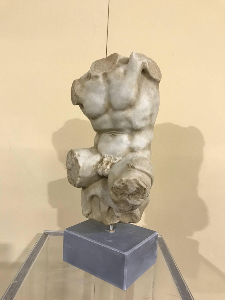 19th Century Torso Belvedere Italian Sculpture in Marble at 1stDibs