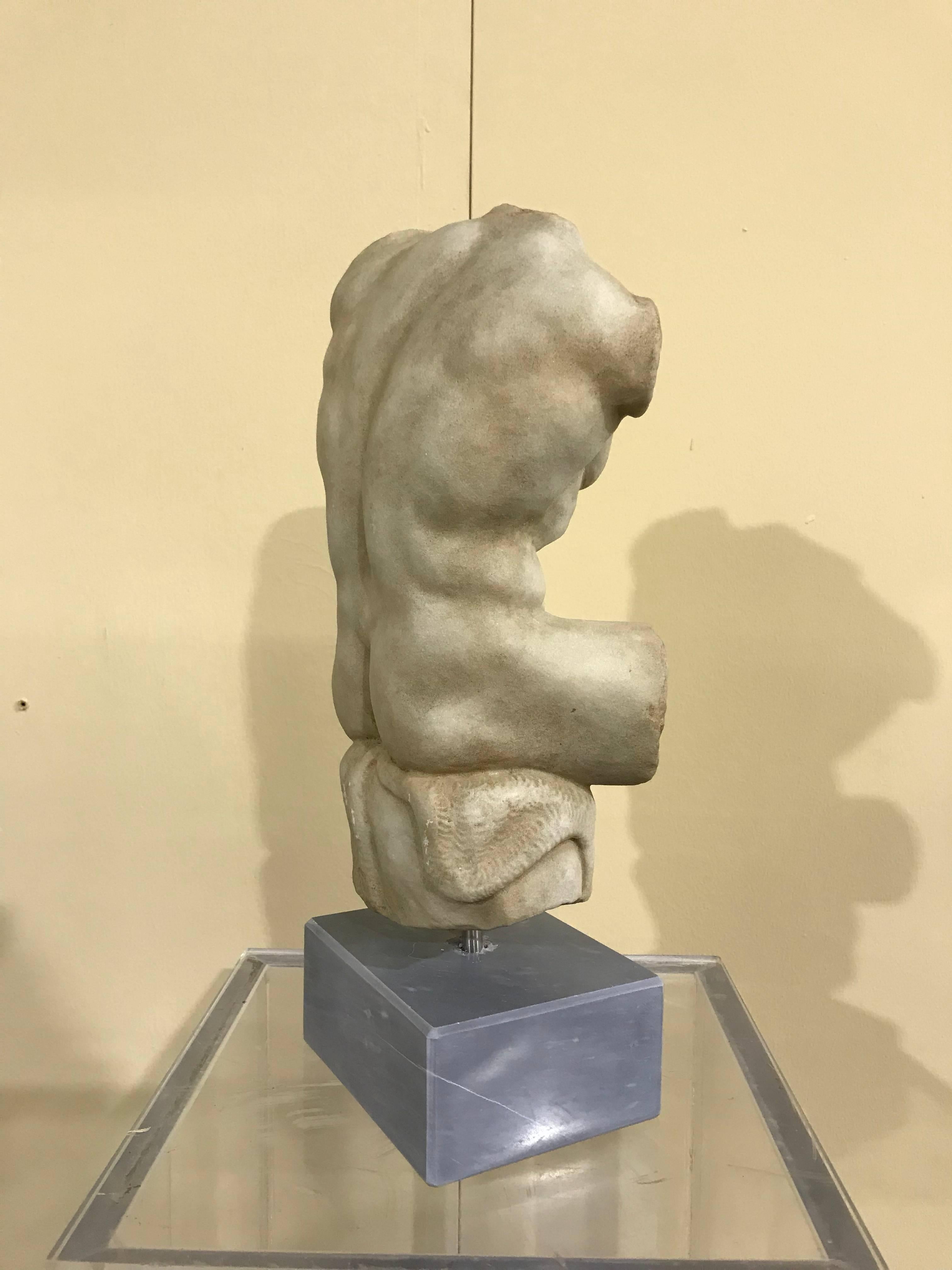 19th Century Torso Belvedere Italian Sculpture in Marble at 1stDibs