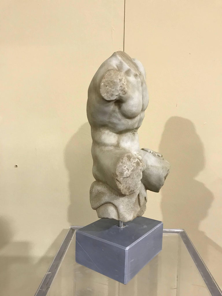 19th Century Torso Belvedere Italian Sculpture in Marble at 1stDibs