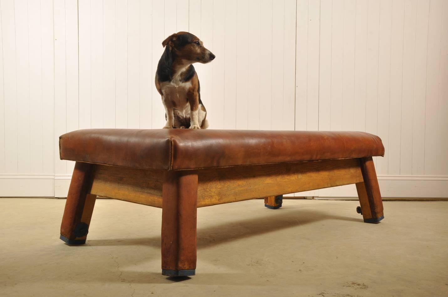Vintage Leather Gym Bench at 1stDibs