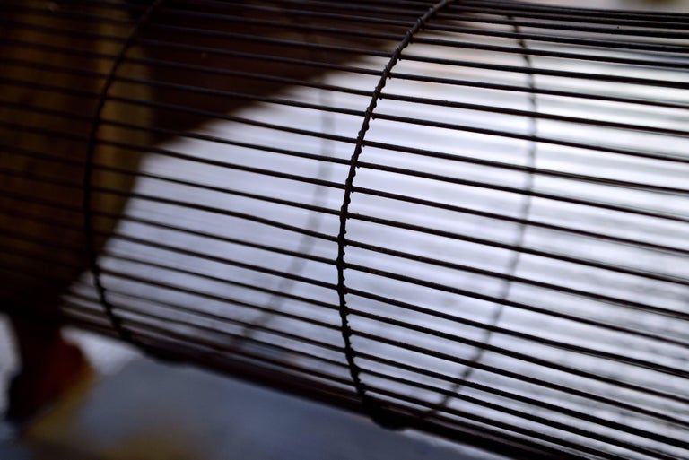 Very Rare Cage for Squirrel, France, 19th Century For Sale at 1stDibs