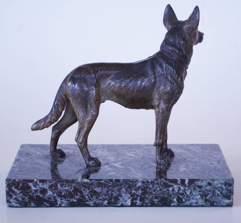 Cold Painted Bronze Figure of a German Shepherd Dog at 1stDibs
